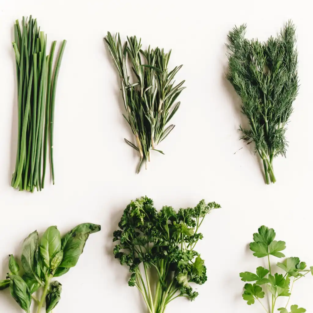 Erbe aromatiche mediterranee e spezie: esaltatori di sapori